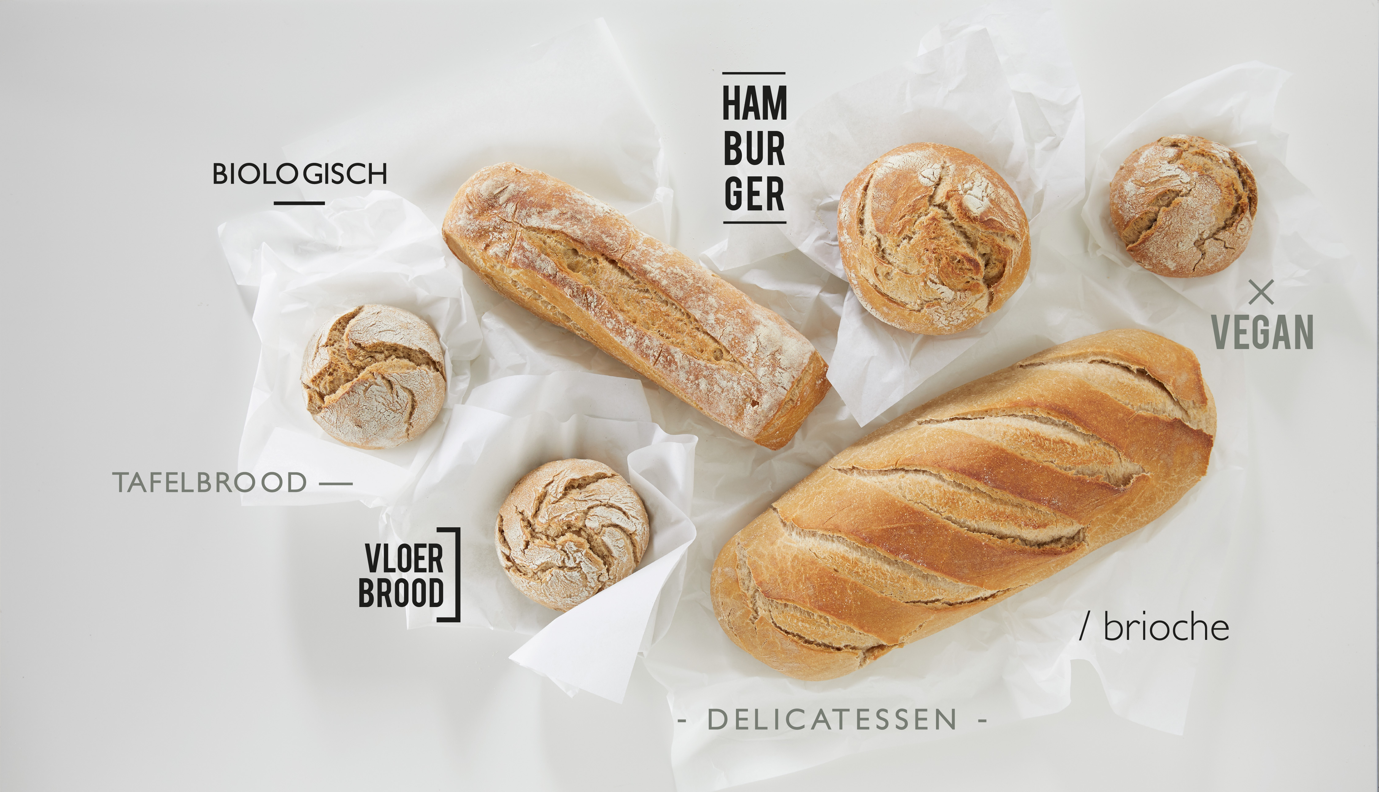 Folder Desemenzo 2019 - Desemenzo